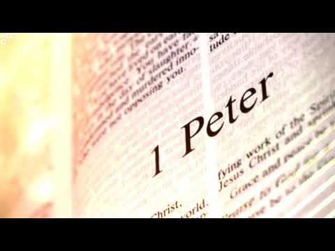 The Holy Bible - 1 Peter Chapter 4 ESV - YouTube