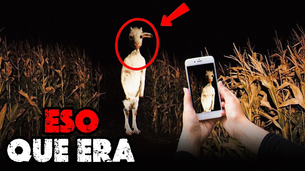 Relatos Paranormales: Animales que Imitan Humanos en la Noche - YouTube