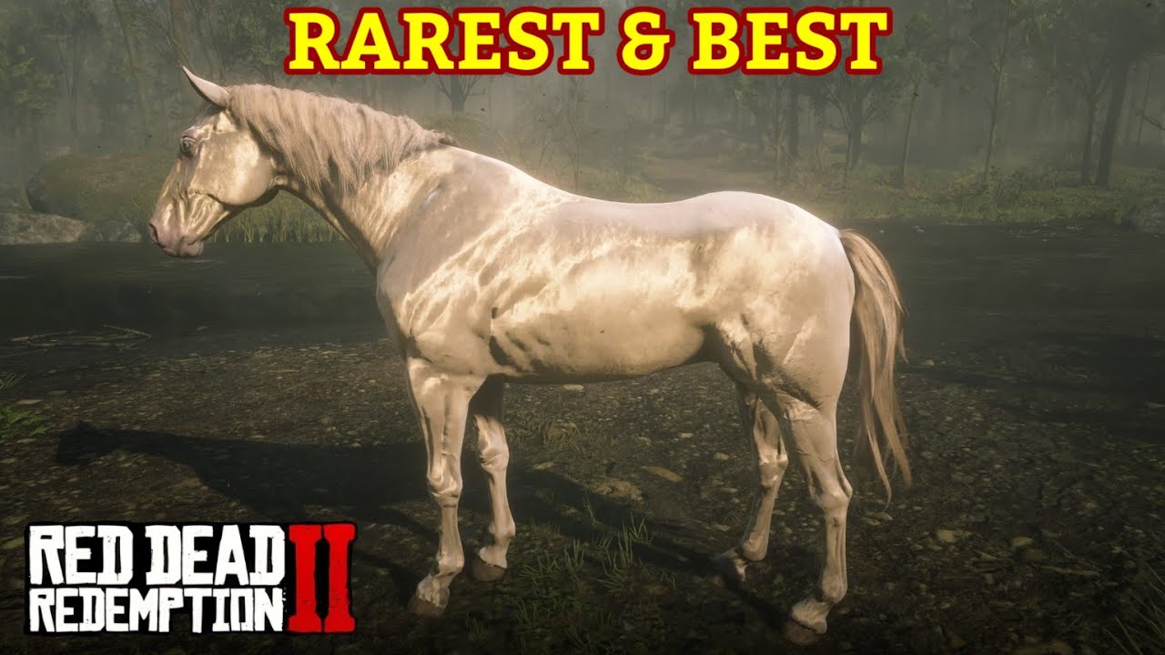 All Rare Horse Locations- RDR2 - YouTube