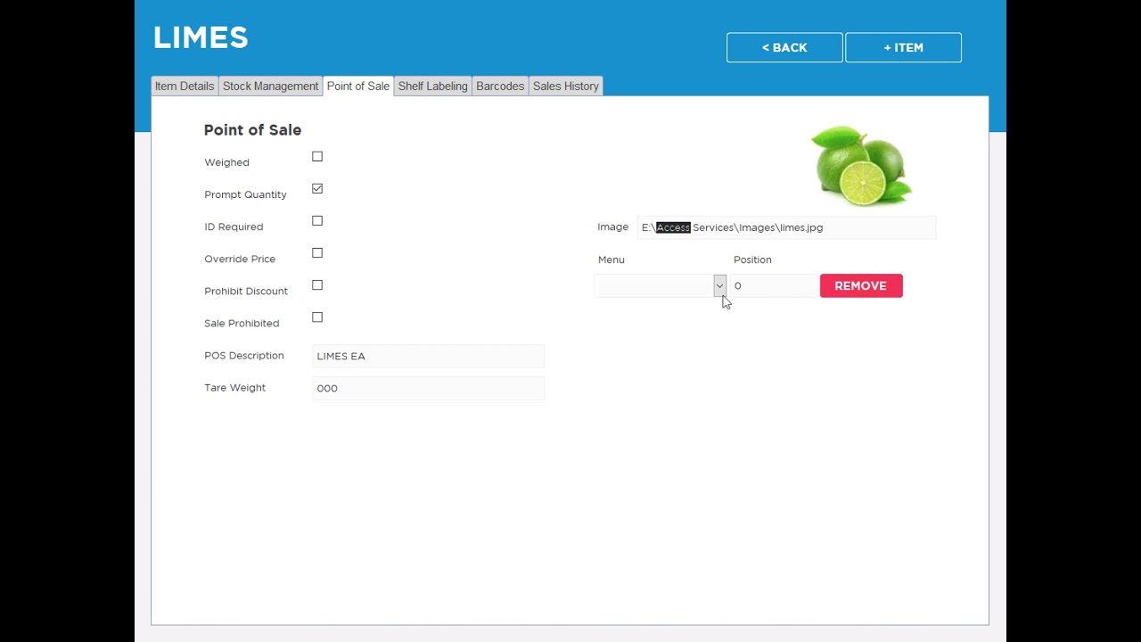 POS Built with Microsoft Access - Item Management - YouTube