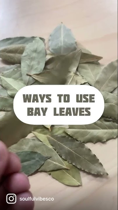 Ways to use Bay Leaves #shorts - YouTube
