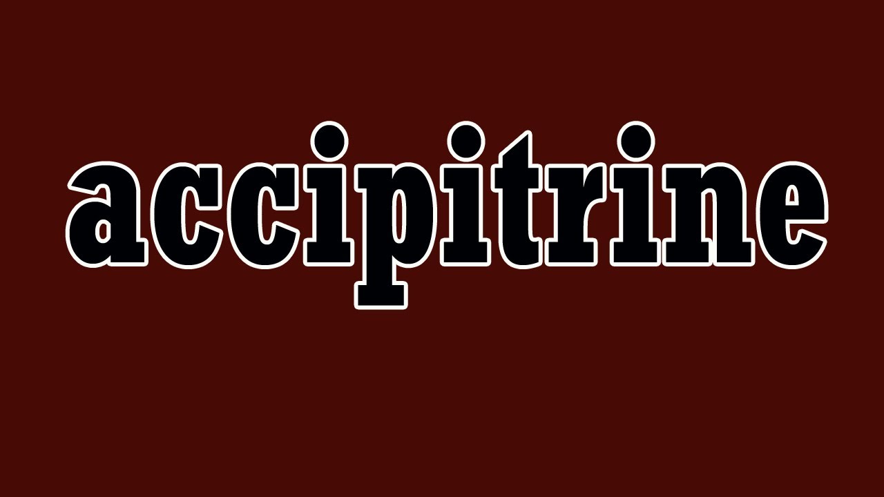 ACCIPITRINE MEANING? - YouTube
