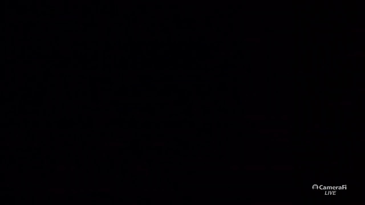 Dedi Supriyanto's broadcast - YouTube