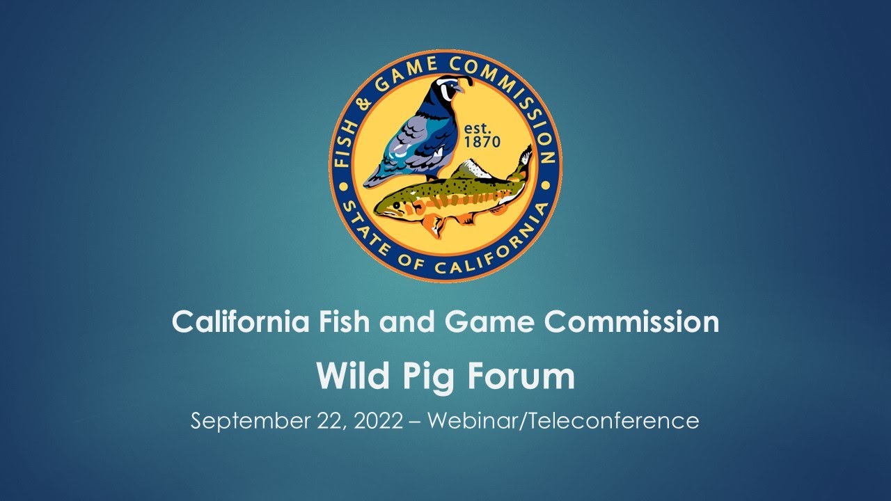 Wild Pig Forum - September 22, 2022 - Webinar/Teleconference - YouTube