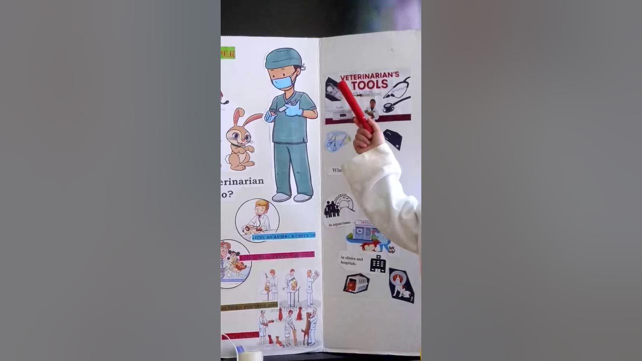 My community helper Veterinarian Doctor - YouTube