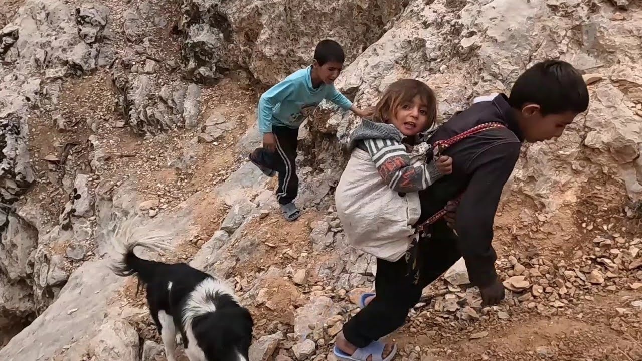 Orphaned children looking for their missing mother in the mountains ...