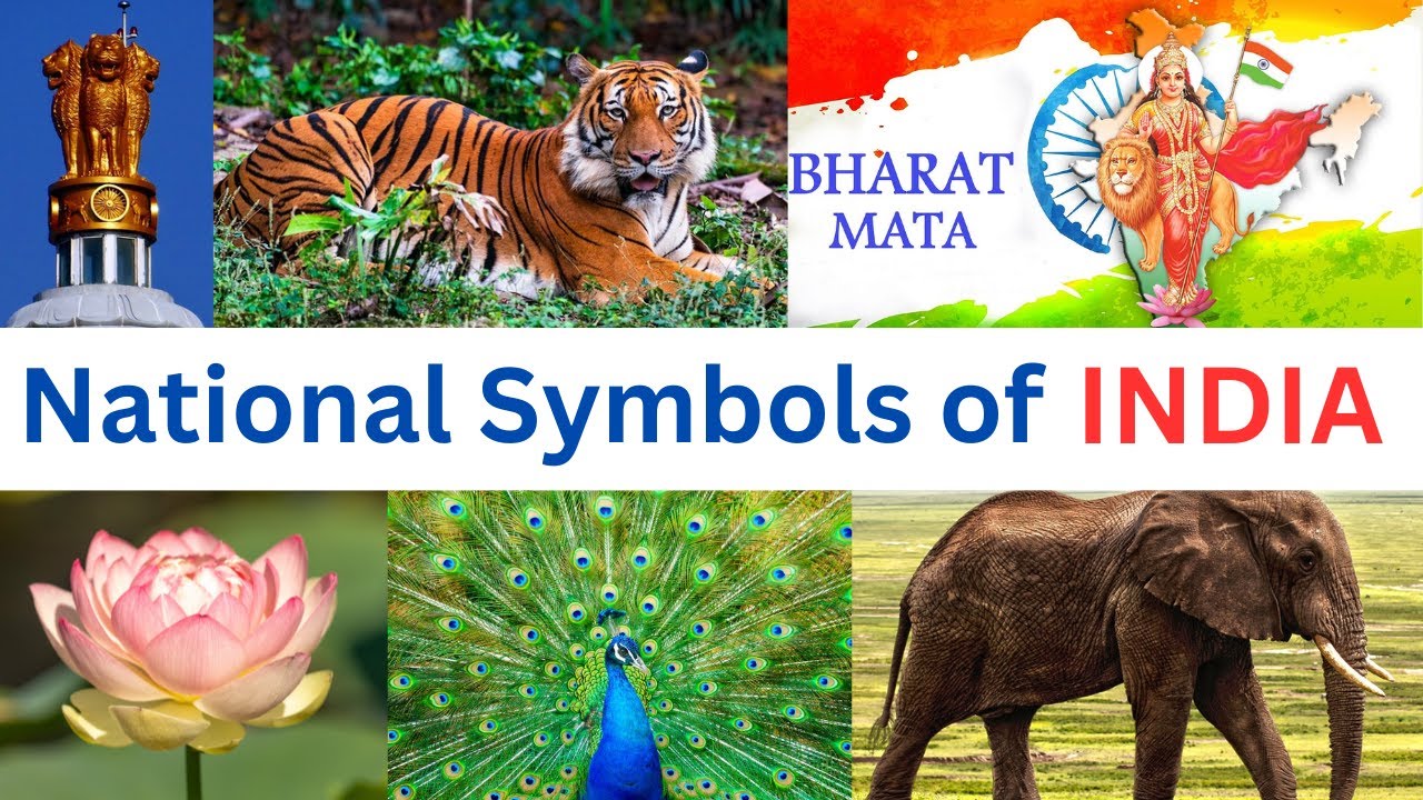 National Symbols of India for Kids ll National Symbols of India With ...