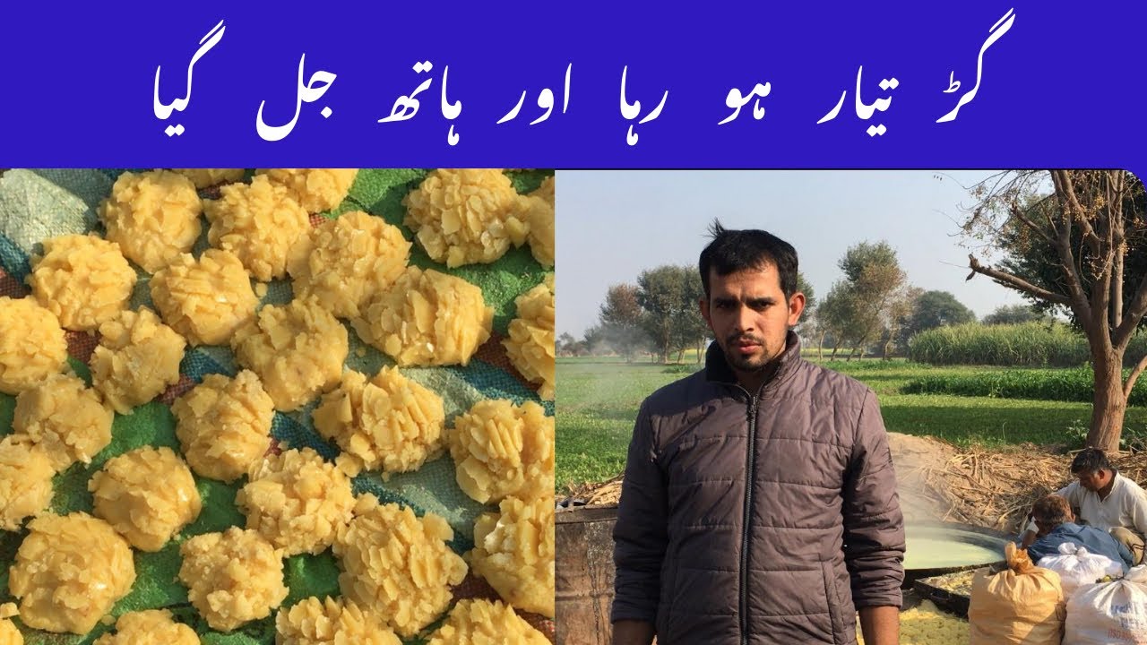 Gurr making process| How to make Jaggery with Apna GD - YouTube