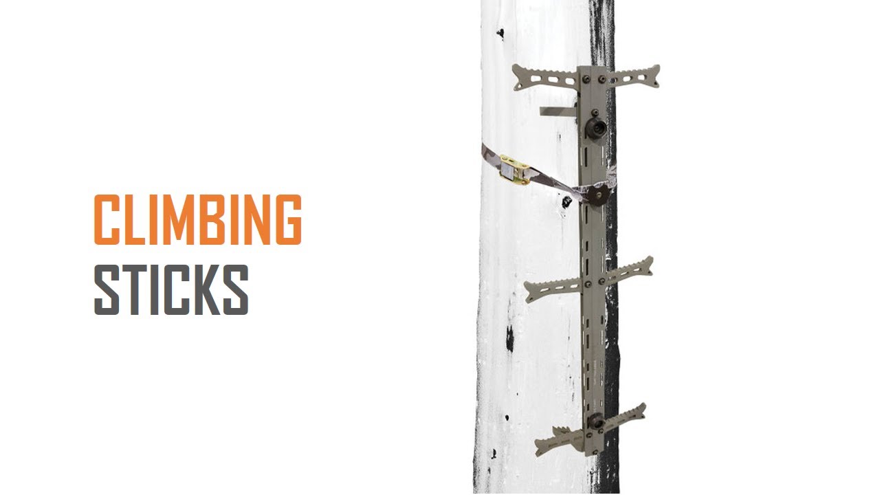 Top 6 Best Climbing Sticks - YouTube