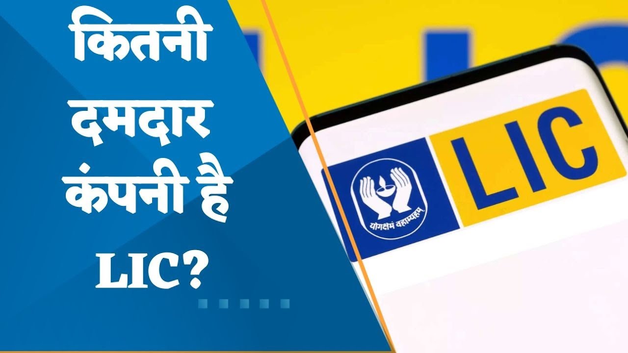 LIC's Impressive Market Cap and Profits Revealed | कितनी दमदार कंपनी है ...