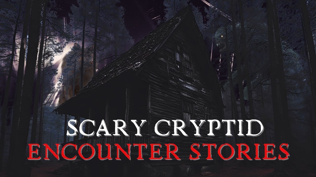 9 scary cryptid encounter stories (vol.3) - YouTube