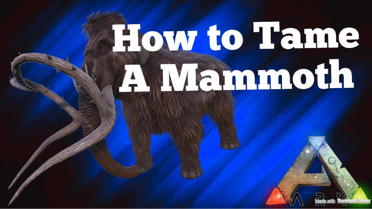 How to tame a mammoth (Updated)// Ark Survival Evolved On PS4 - YouTube