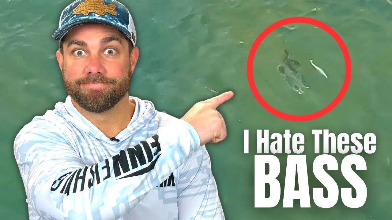 I HATE These BASS (How To Catch Followers) - YouTube