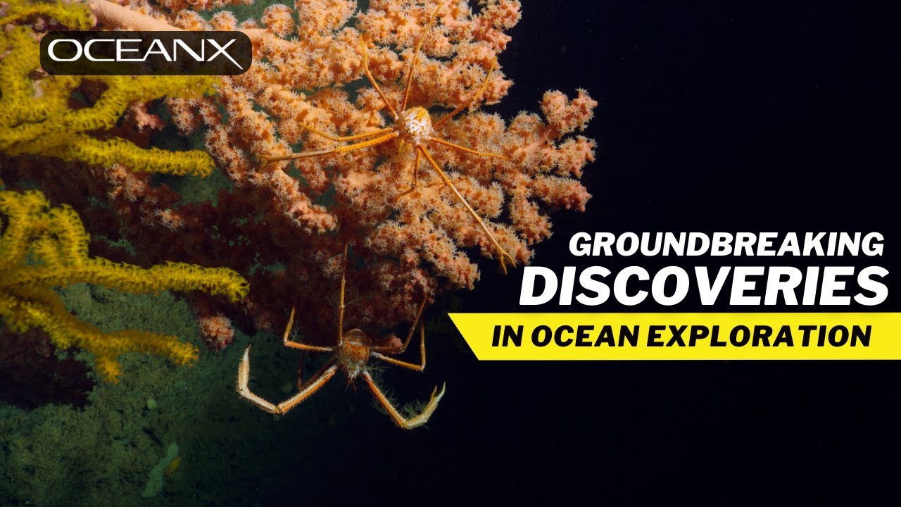 The Best of OceanX Discoveries - YouTube