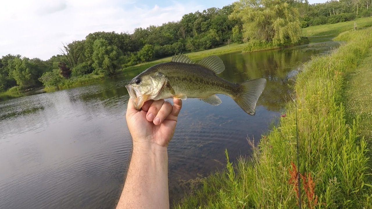 Fishing With Family! (Surprise Catch) on the Whopper Plopper 60! - YouTube