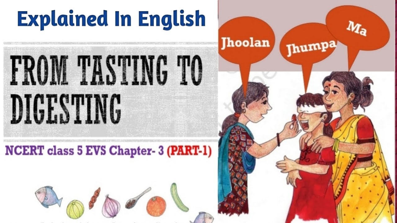 From Tasting To Digesting Part 1 In ENGLISH NCERT Class 5 EVS from-tasting-to-digesting-part-1-in-english-ncert-class-5-evs