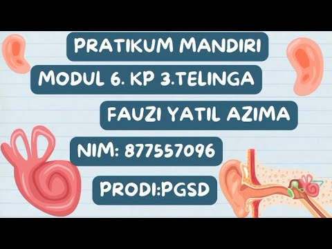 MODUL 6, KP 3. TELINGA - YouTube