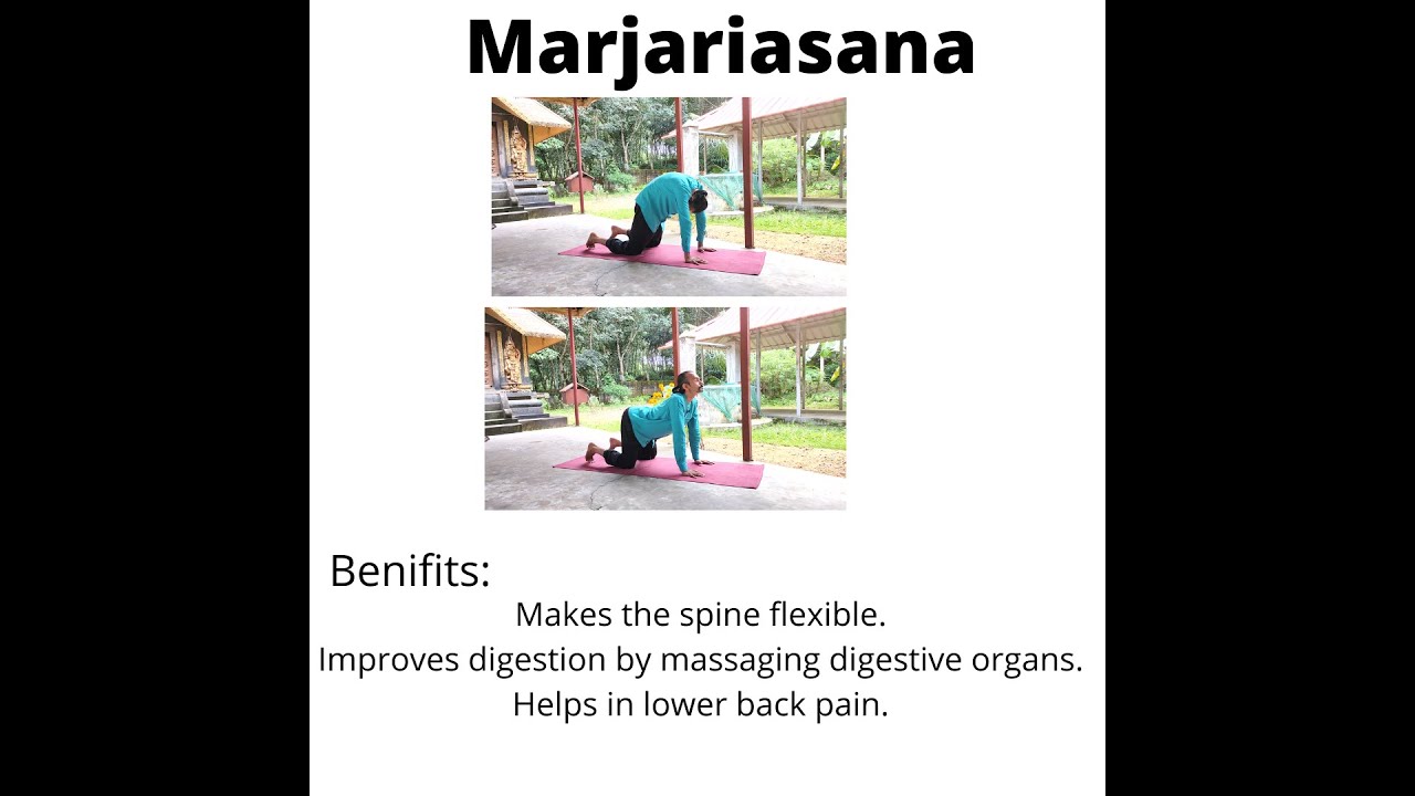 #2 How to Marjariasana, Cat Pose Yoga for strong and flexible back ...