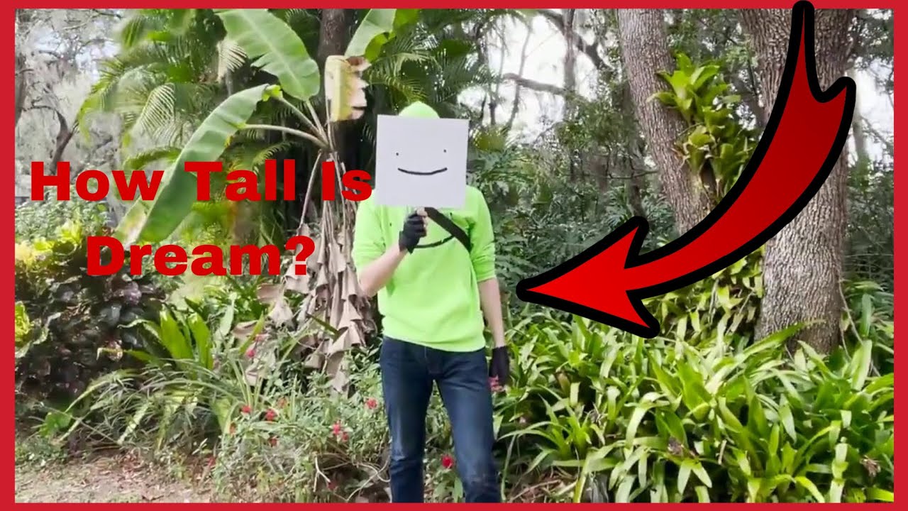 HOW TALL IS DREAM IRL???? #shorts - YouTube