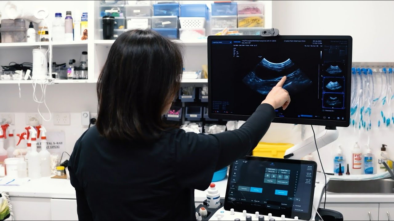 Crystal-Clear Imaging in Every Scan: Dr. Christina Zhu on the Samsung ...