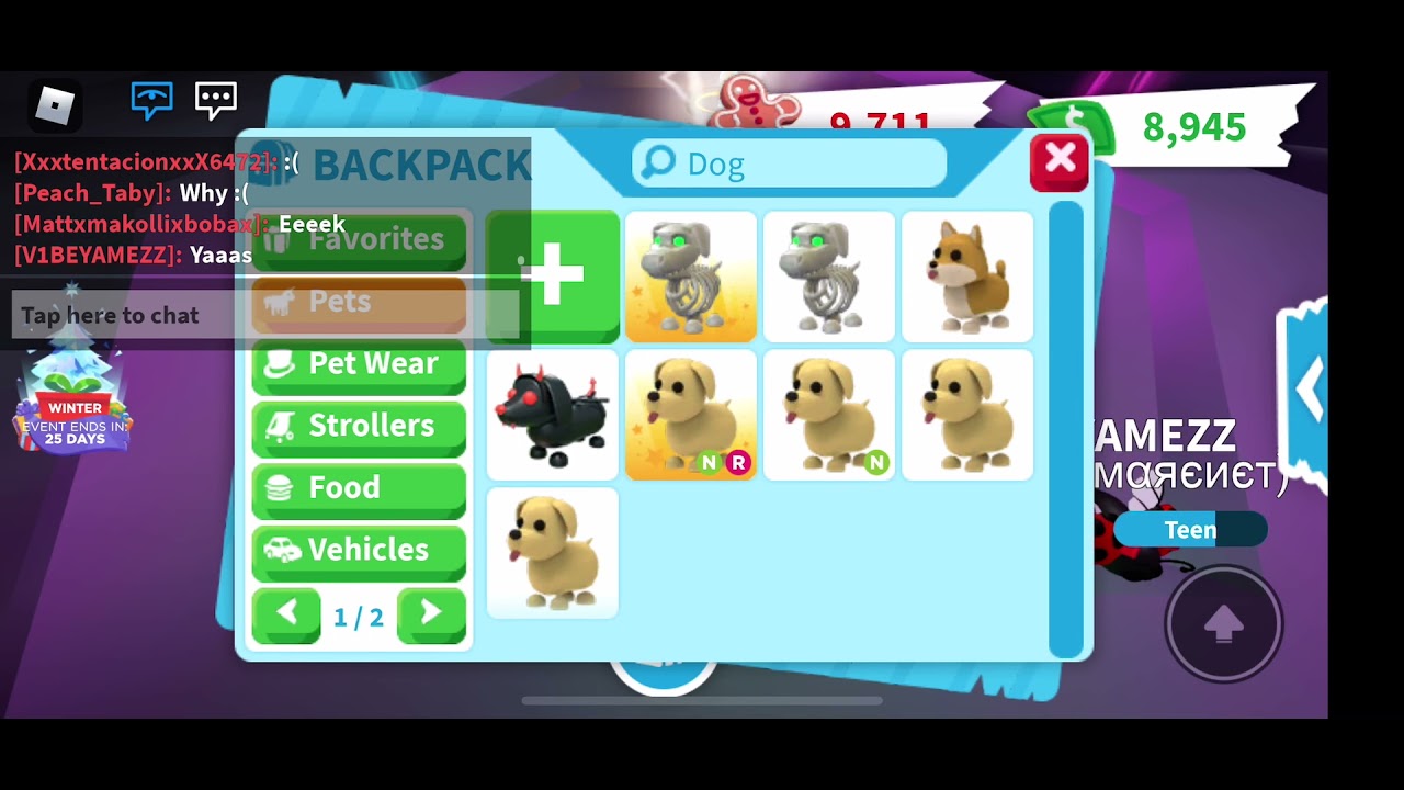 I made a mega neon dog! Adopt me (roblox) - YouTube