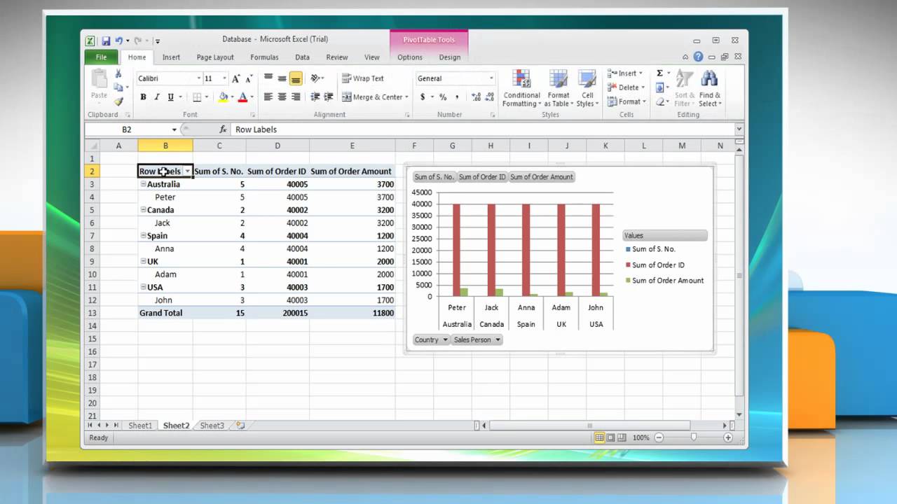 Microsoft® Excel 2010: How to delete a PivotTable or PivotChart report ...