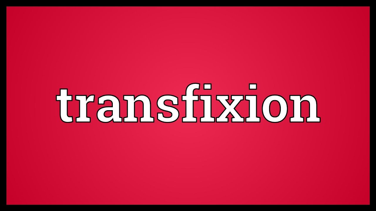 Transfixion Meaning - YouTube