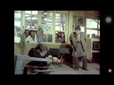 Cüneyt Arkın sen bitmişsin Kenan(kin filmi)#cüneytarkın #yeşilçam