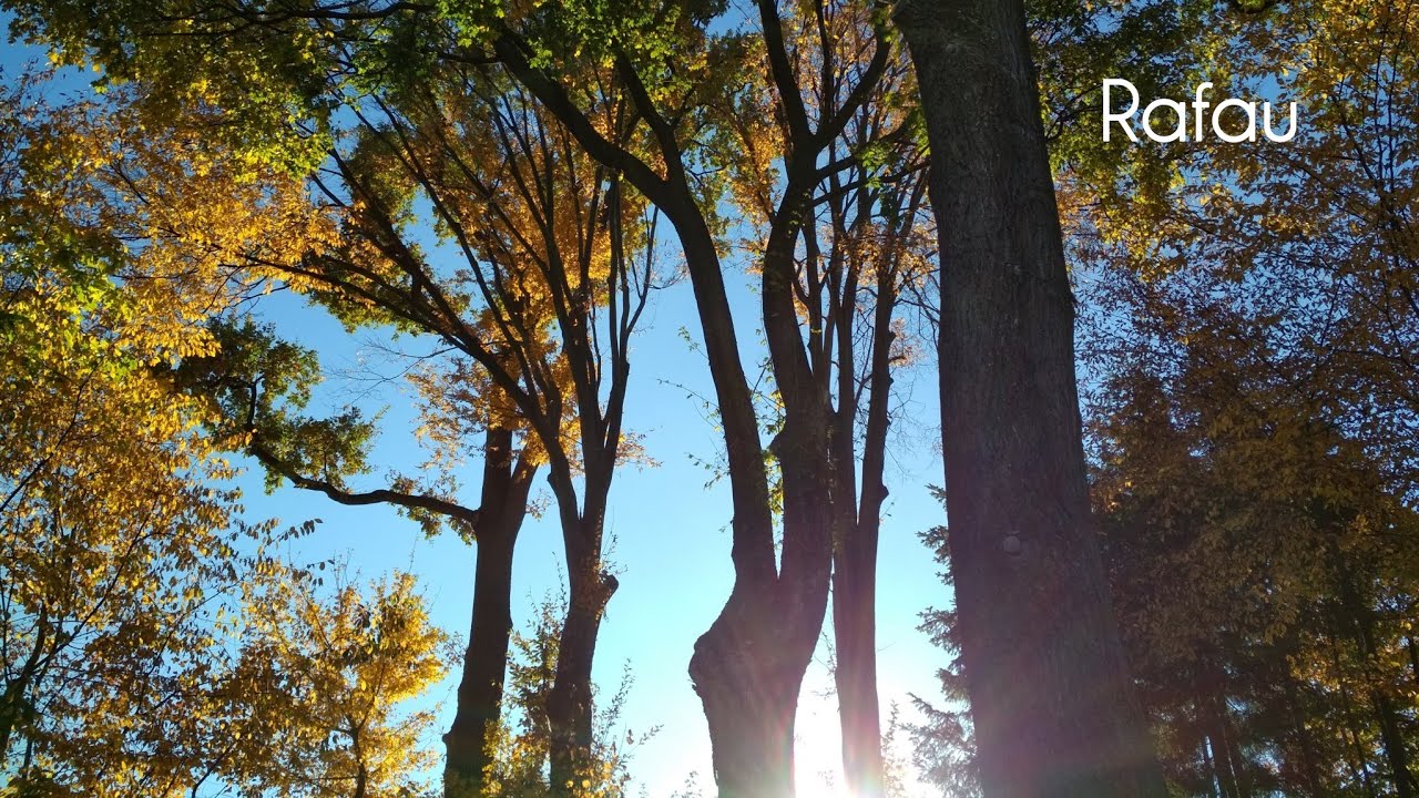 Z różą w tle: Rafau cz. 3 - YouTube