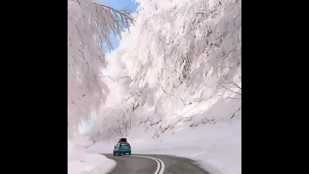 Nature Beautiful Short Video 720P HD - YouTube