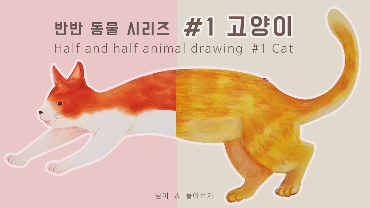 고양이를 반반 나눠 그려보았어요 (반반스케치북 동물 시리즈 #1 고양이 Half and half animal drawing #1 ...
