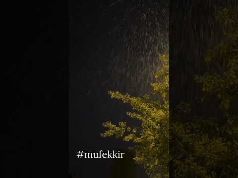 Gençliğimi geri verseler bu kez en çok kendimi severim - Ferhat Göçer - Yağmur manzarası