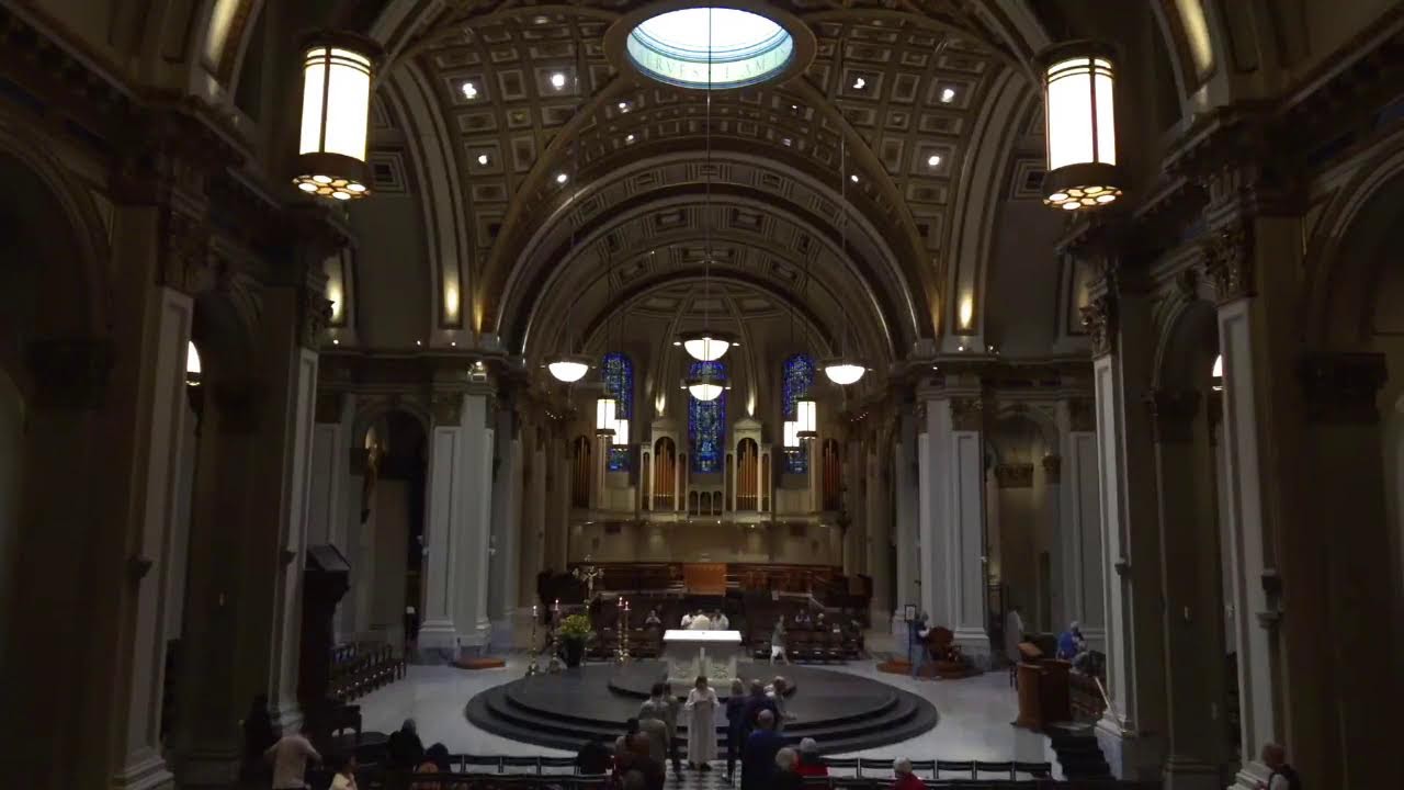 Catholic Daily 8:00am Mass at St. James Cathedral, Seattle - YouTube