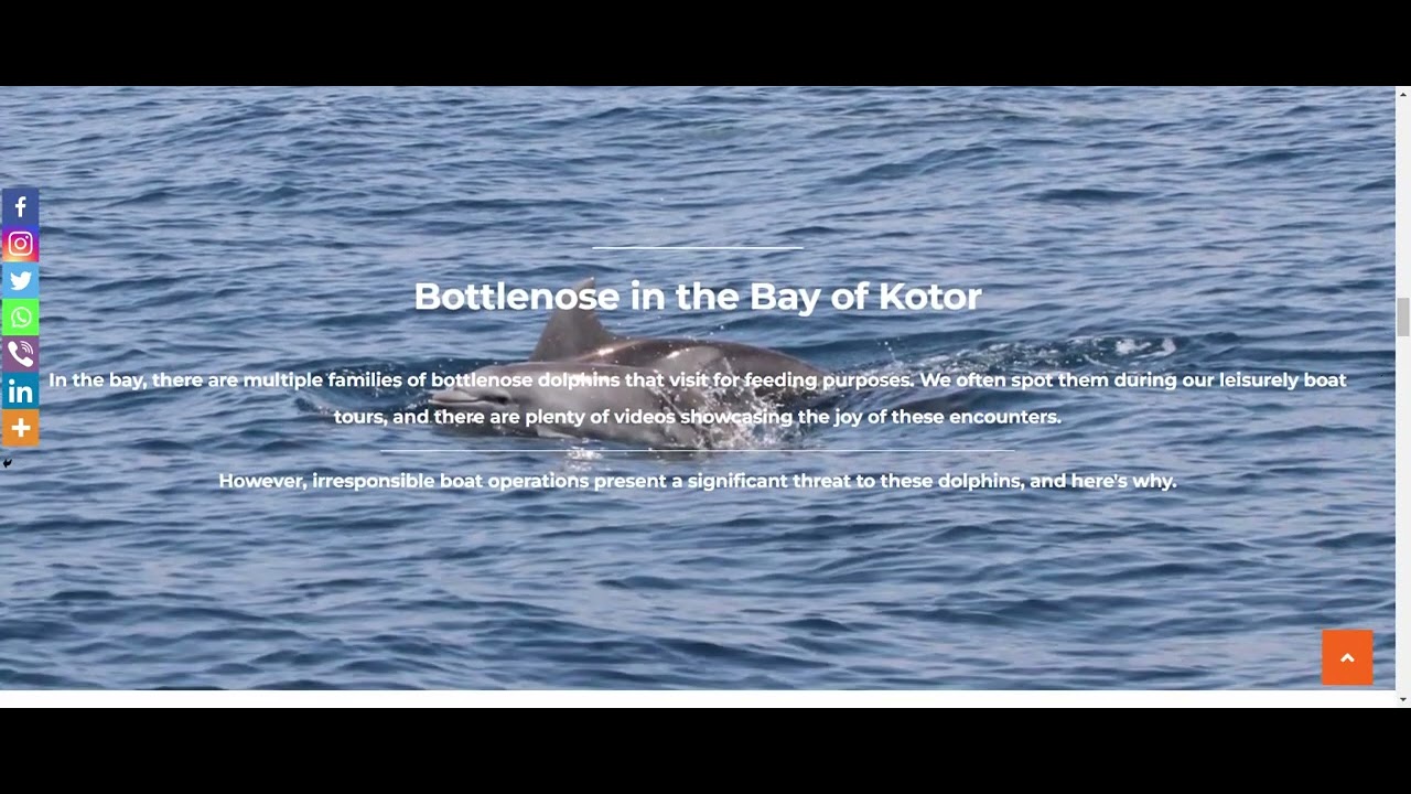 Wildlife Conservation Tours Screen Capture - YouTube