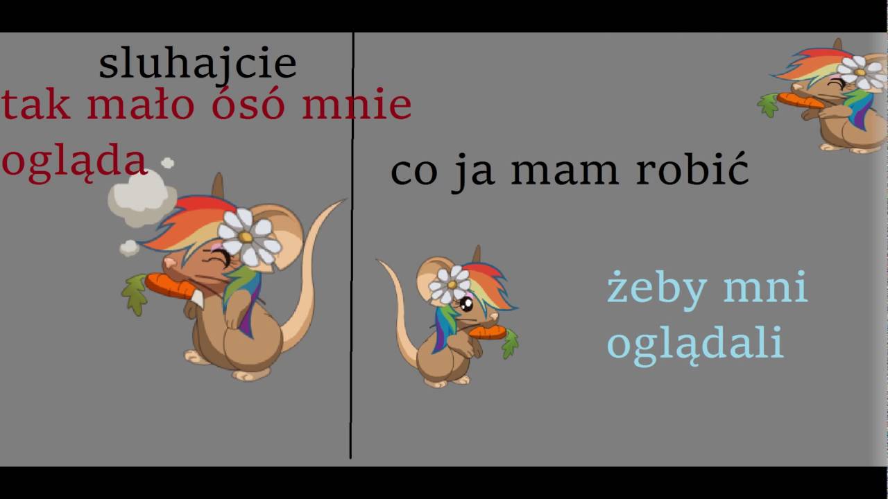 co ja mam robić - YouTube