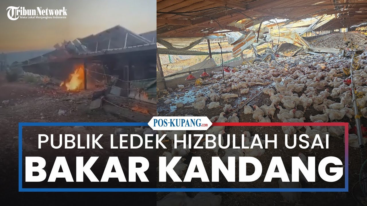 Publik Arab Ledek Nasrallah Usai Roket Hizbullah Mengenai Kandang Ayam ...