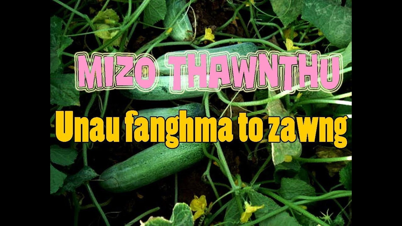 Mizo Thawnthu: Unau fanghma to zawng - YouTube