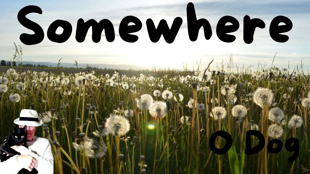 Somewhere There's A Place For Us - YouTube