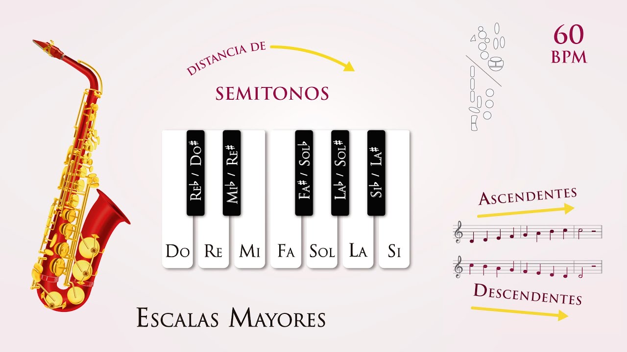 Practica n°6 🎷 12 ESCALAS MAYORES | bpm 60 | 𝘚𝘢𝘹𝘰 𝘈𝘭𝘵𝘰 𝘰 𝘉𝘢𝘳𝘪𝘵𝘰𝘯𝘰 - YouTube