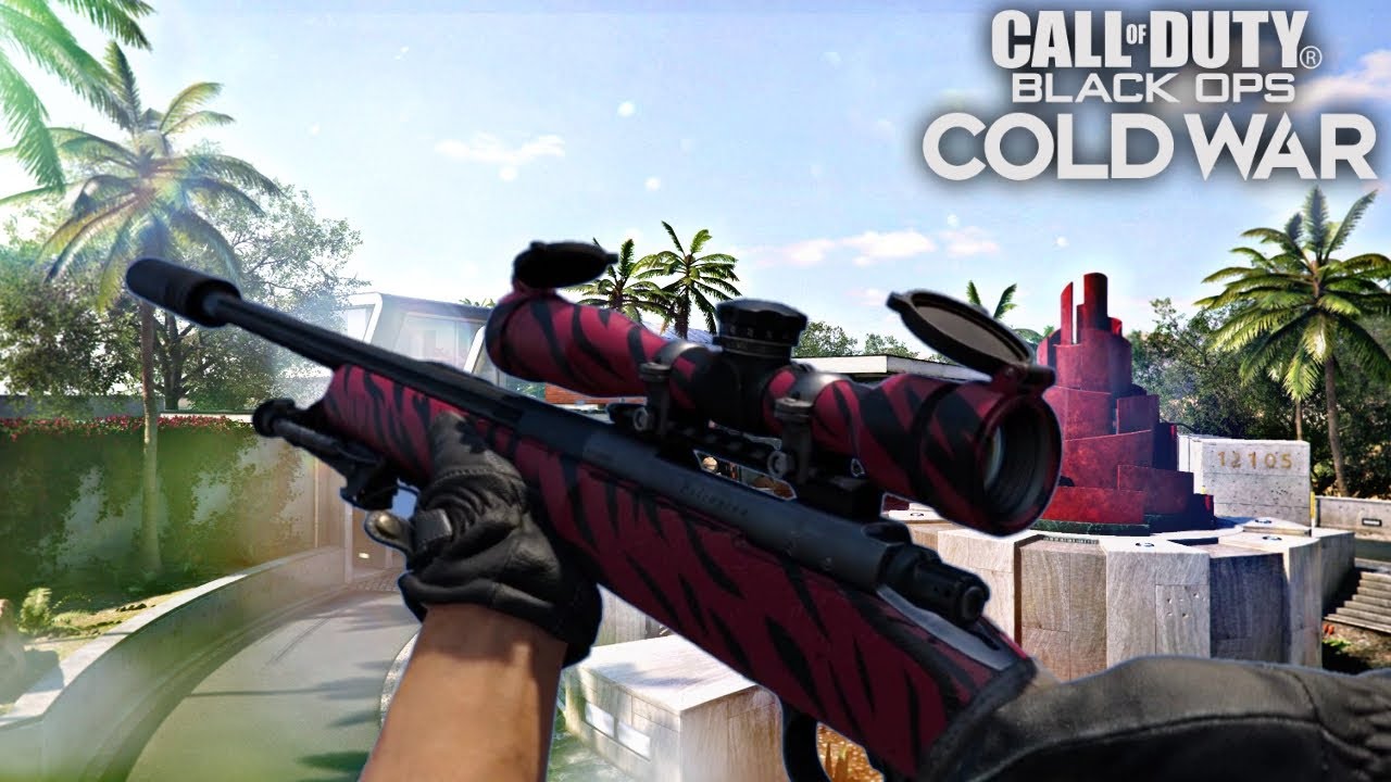Call Of Duty Black Ops Cold War Sniper Montage! - YouTube