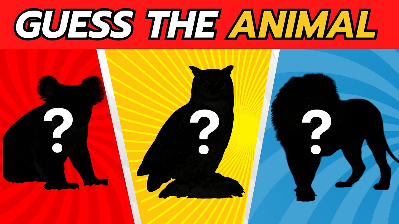 Guess the Animal by Its Shadow 🐾 Can You Spot Them All? - YouTube
