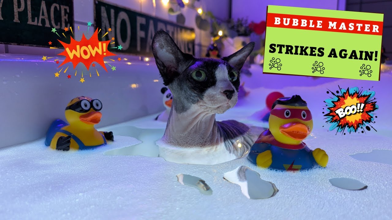 Bubble Master Cooper Strikes Again! - YouTube