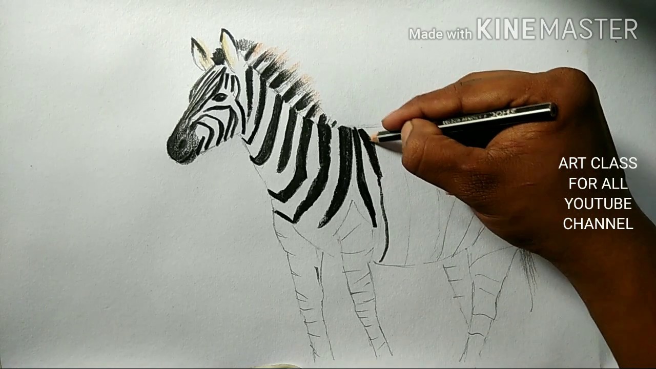 How to draw / Drawing class in tamil / Easy zebra drawing / zebra ...