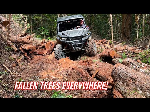 14 hours to do 41KM!! Deep into the rainforest in my UForce 1000 SXS