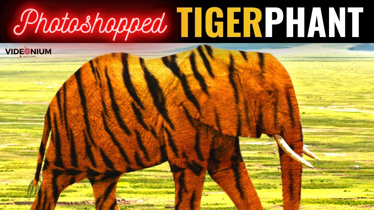 How to Design a Tigerphant Using Adobe Photoshop | Graphic Design ...