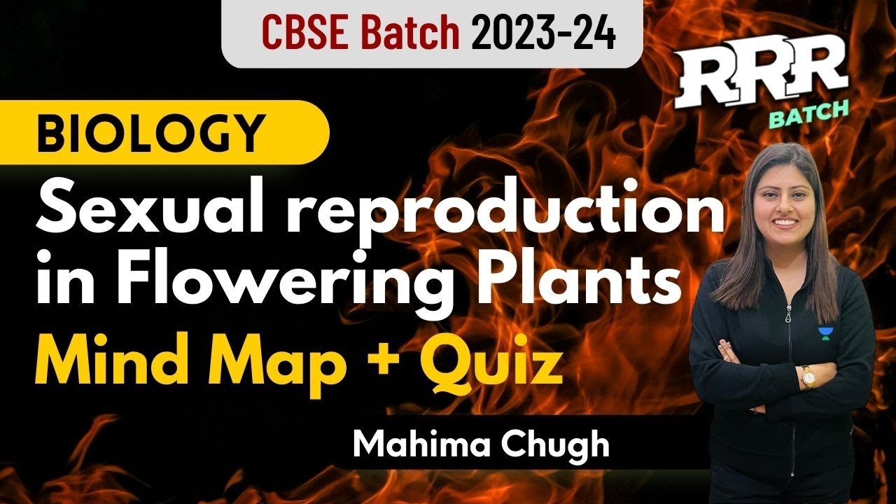 Sexual reproduction in Flowering Plants | Mind Map + Quiz | Class 12 Biology | Mahima Chugh ...