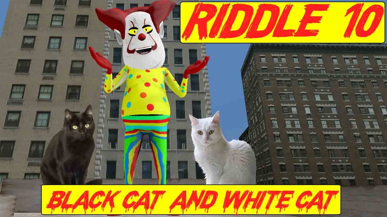 Riddle by Pennywise | Riddle 10 - Black Cat & White Cat | Paheli - YouTube