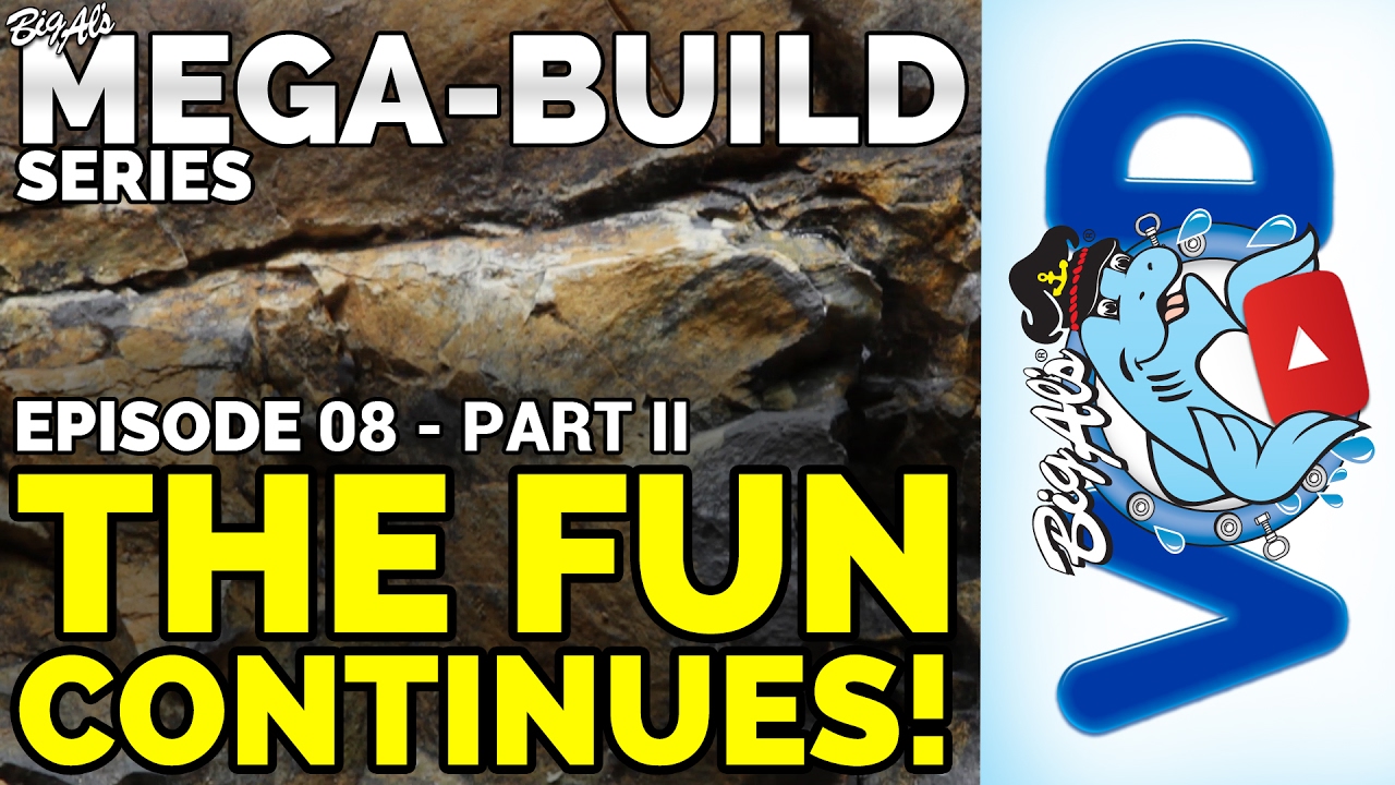 Mega-Build Series Ep 08 - PART II: The Fun Continues! | BigAlsPets.com ...
