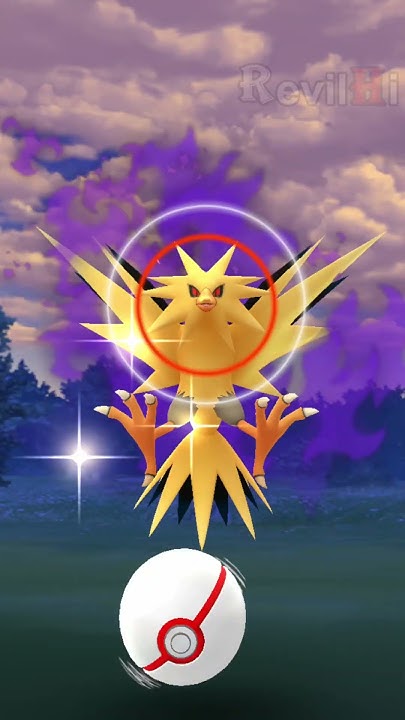 Raid Shadow de Zapdos - Pokémon GO - YouTube