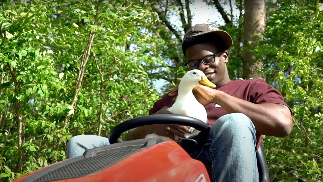 Only1BamaBoy - Stank Hoe (OFFICIAL MUSIC VIDEO) - YouTube